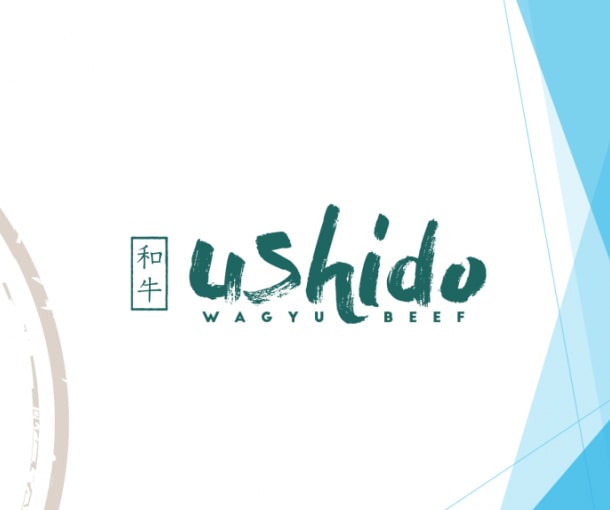Visita al proyecto "Ushido" de la familia Palacios y Discarlux...
